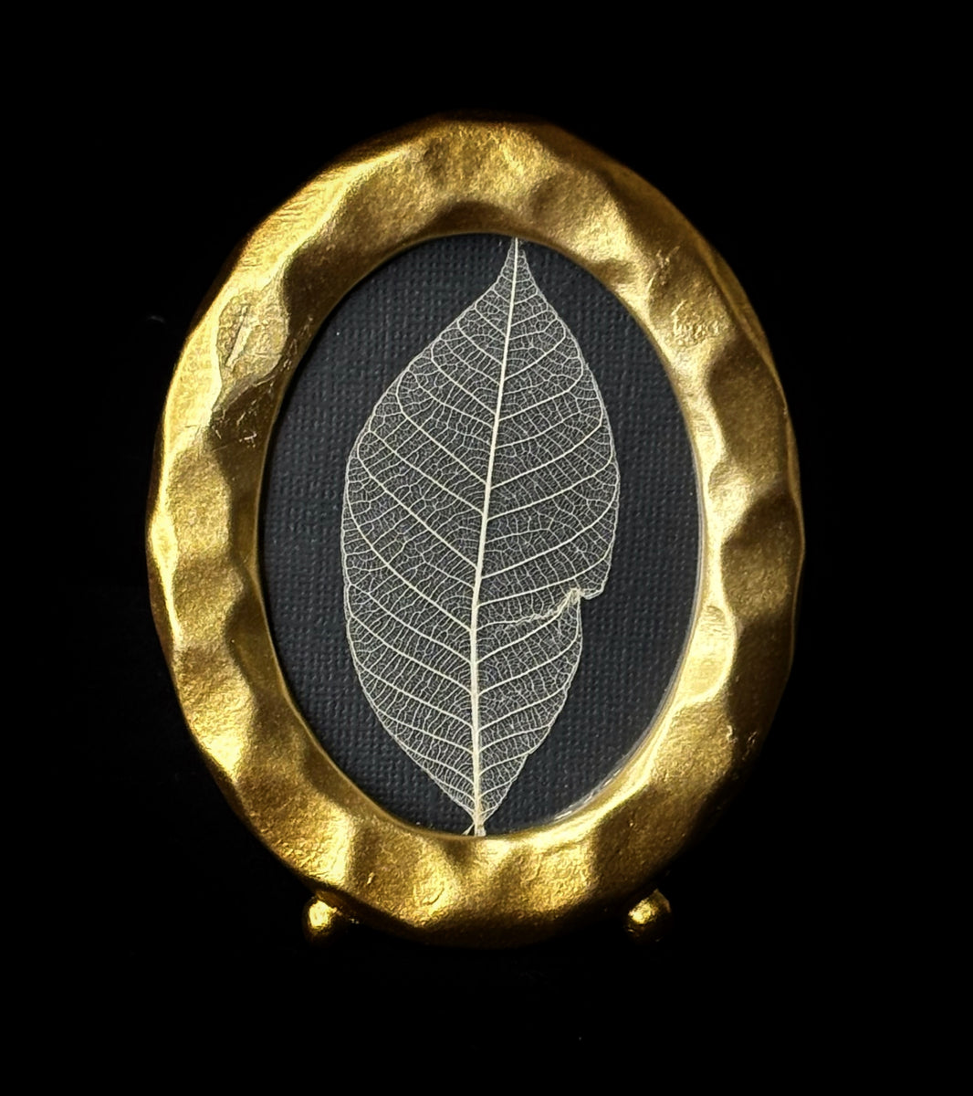 Framed Leaf Skeleton – MyMy Butterfly